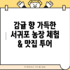 제주 서귀포 가볼 만한 곳 베스트 10 여행 코스 네이버 블로그